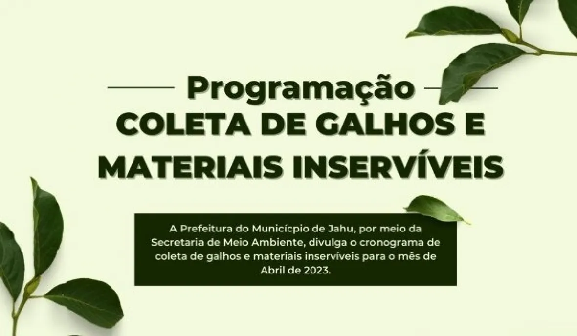 CATA-GALHO E INSERVÍVEIS TEM CRONOGRAMA AJUSTADO